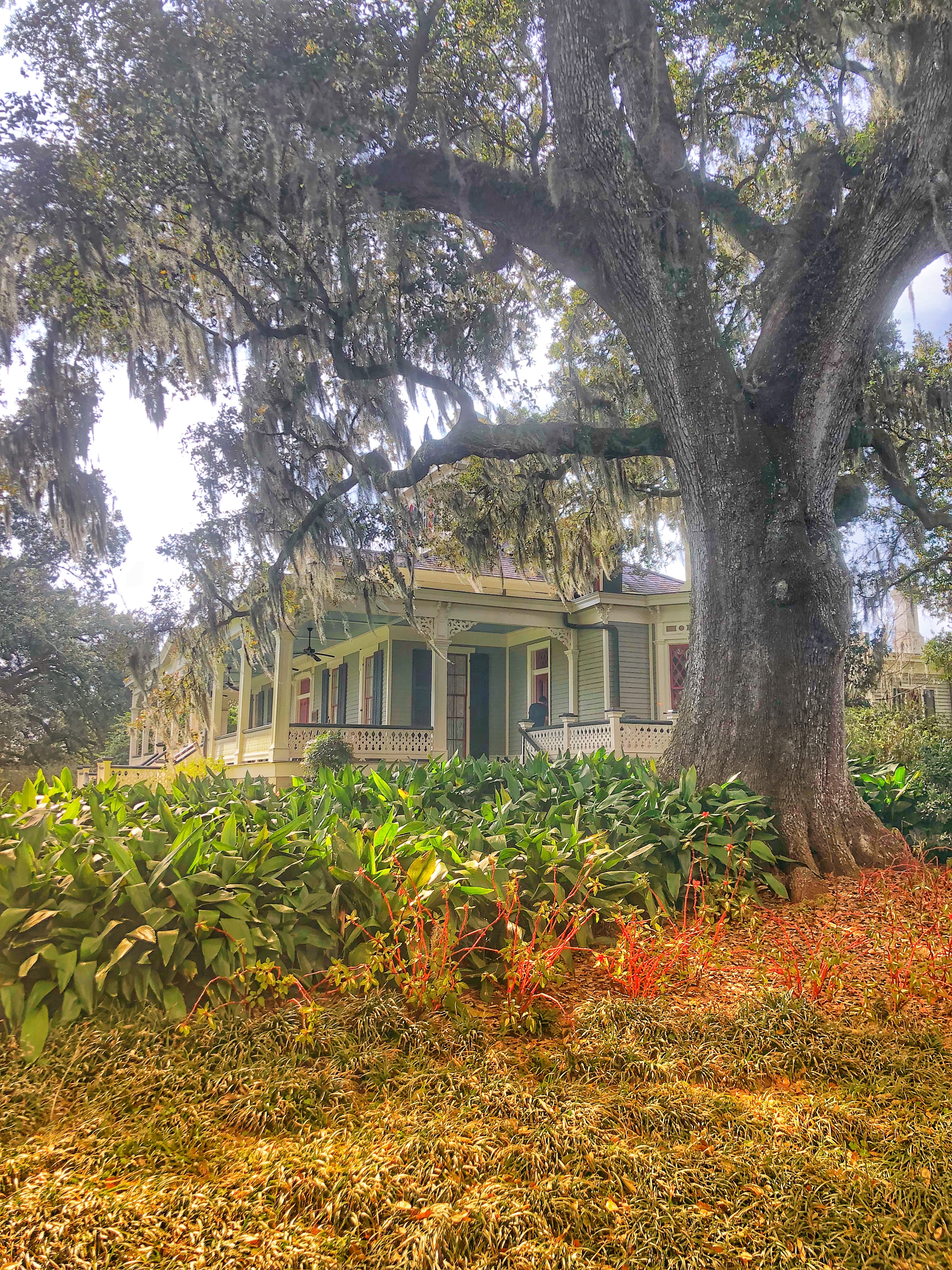Lafayette in One Day - Always Up For An Adventure