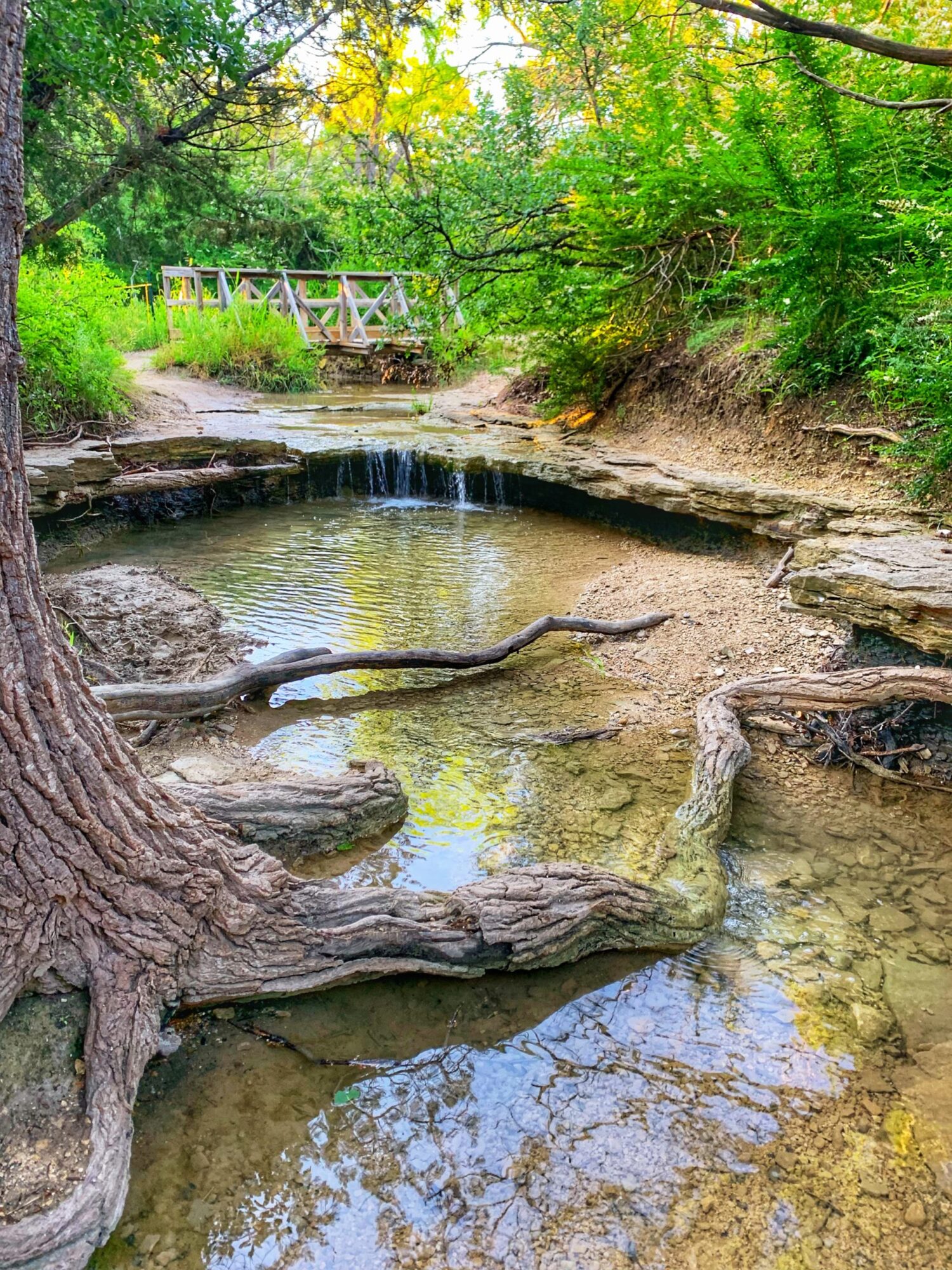 26 Free Things To Do In Dallas - Always Up For An Adventure