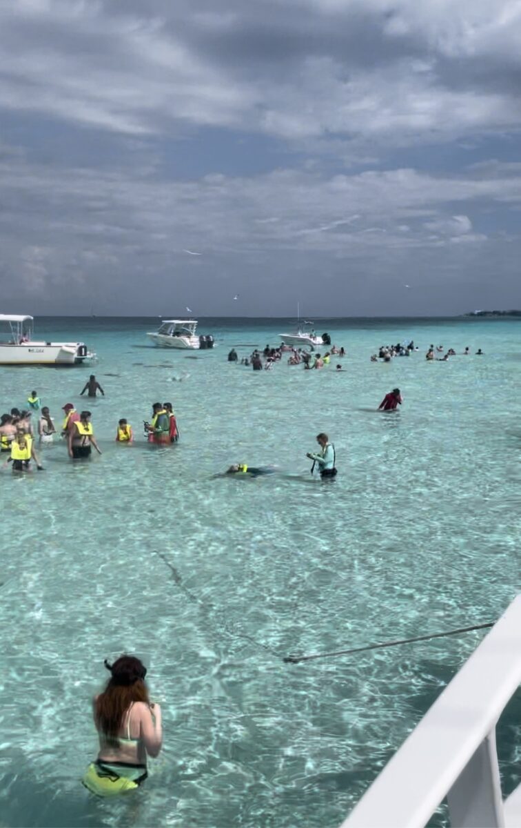 Swimming With Stingrays in Grand Cayman - Always Up For An Adventure